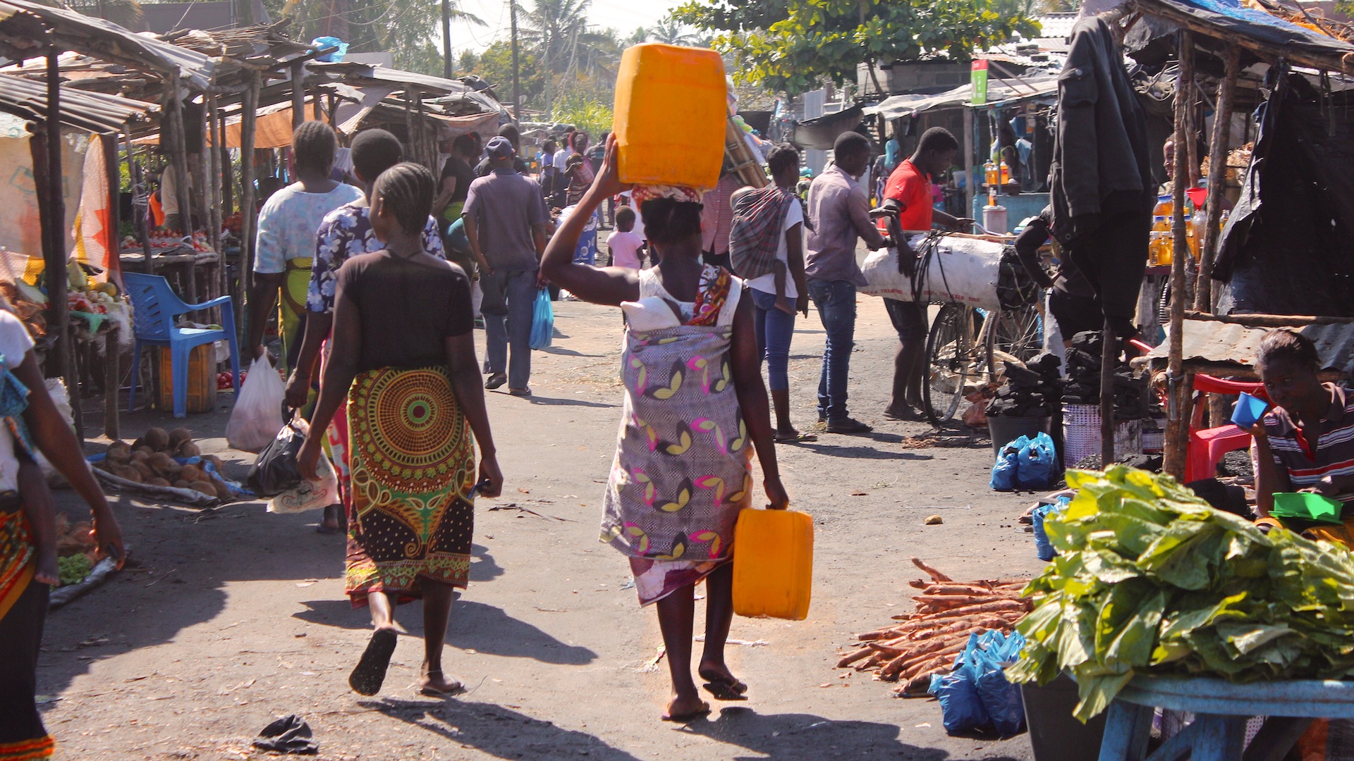 About IANPHI | IANPHI